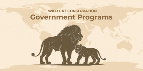 Government Programs - Wild Cat Conservation - BigCatsWildCats